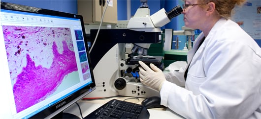 IRSN : Institut de Radioprotection et de Sûreté Nucléaire