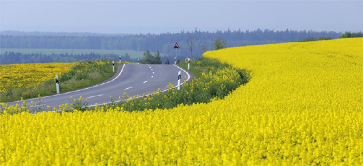 taux d'incorporation des biocarburants en france